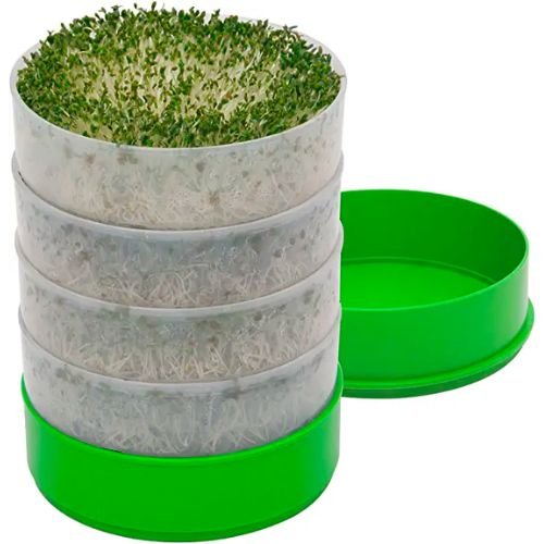Germinador de Semillas ¿Como crear un germinador casero?